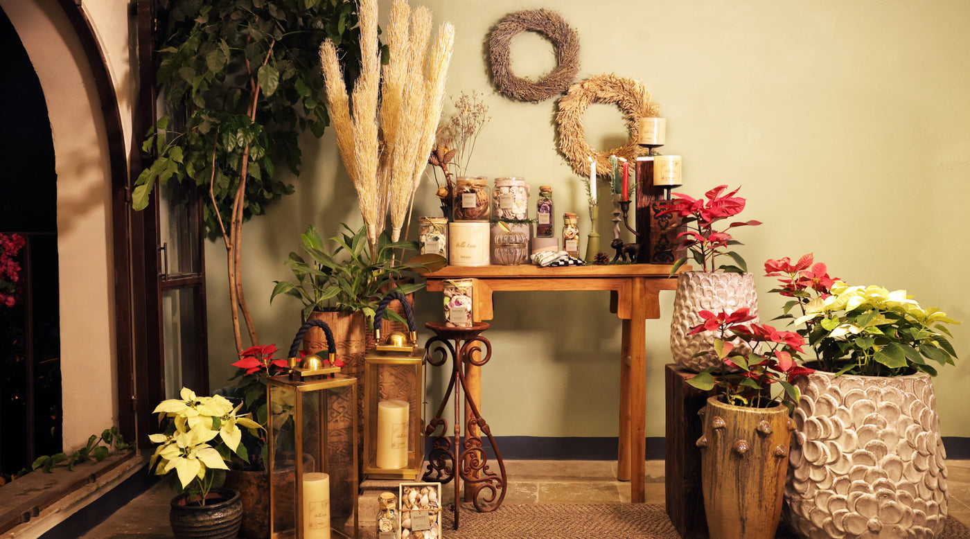 Beruru - Outdoor Lifestyle Brand, for Homes and Gardens, India