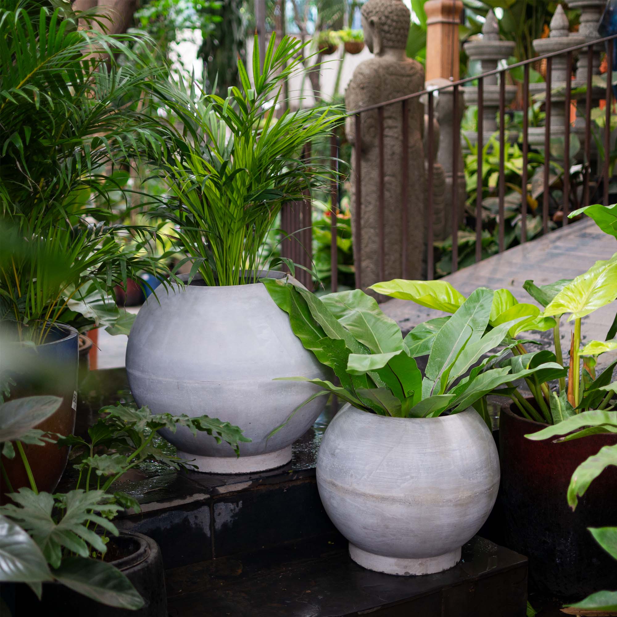 Buy Planters |U Shape pot |Shop at Beruru