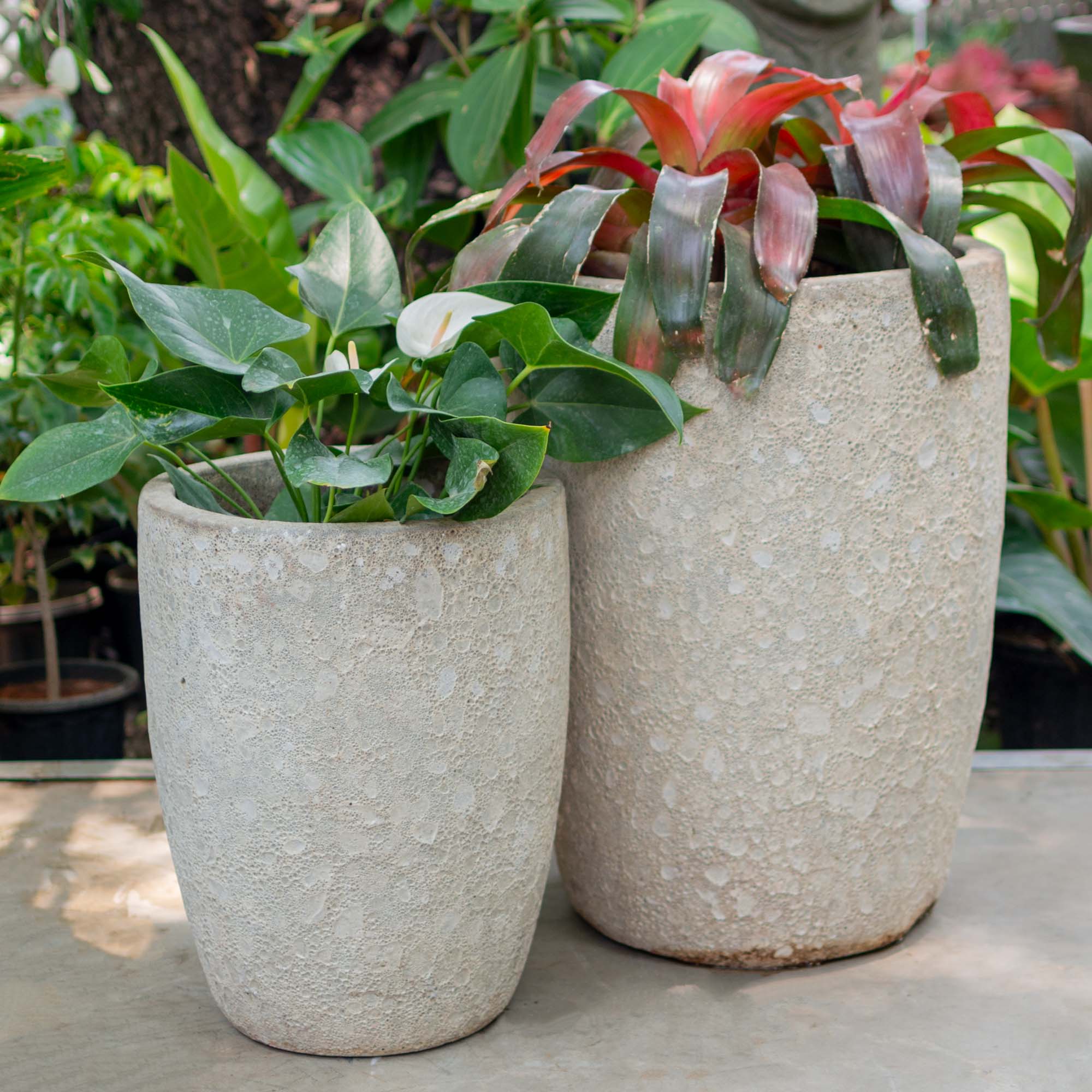 Buy Pots and Planters | Atlantic Glazed Creamonaco Pot | Shop At Beruru