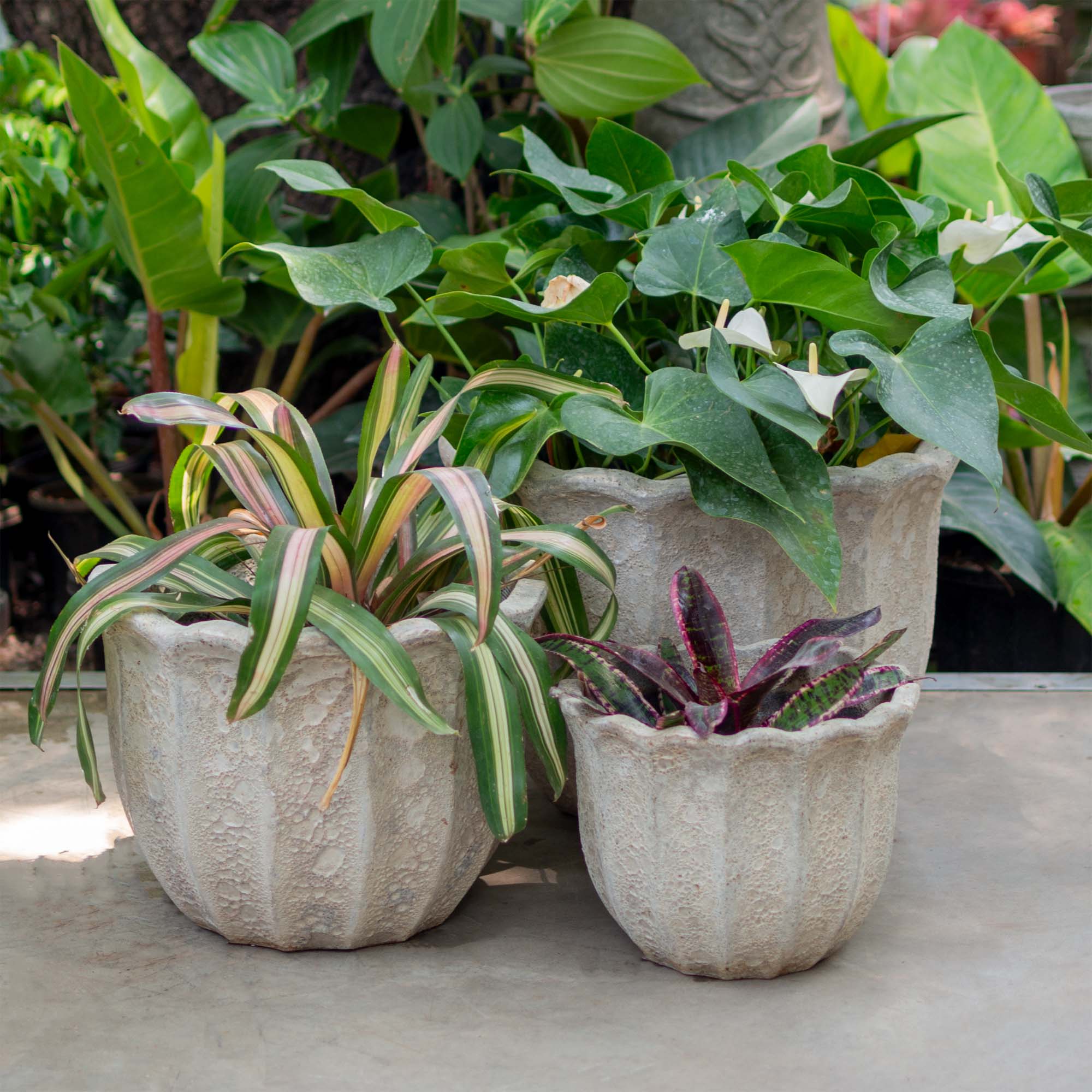 Buy Pots and Planters | Atlantic Glazed Curved Pot | Shop At Beruru