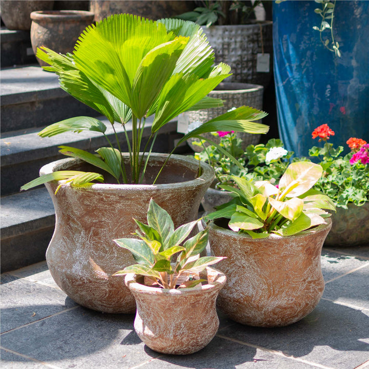 Beruru - Outdoor Lifestyle Brand, for Homes and Gardens, India