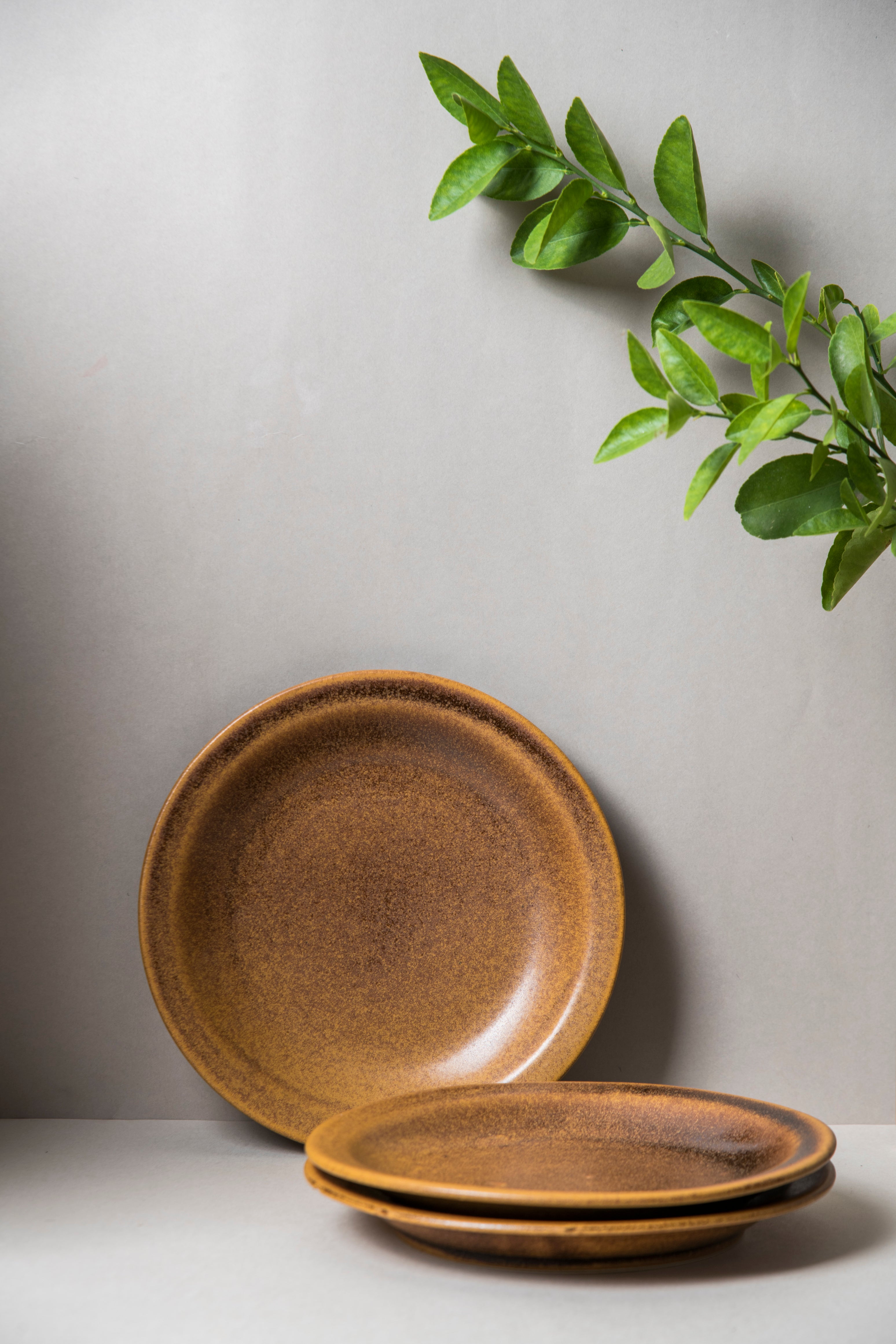 Buy Dinnerware |Savannah Dinner Plate |Shop at Beruru