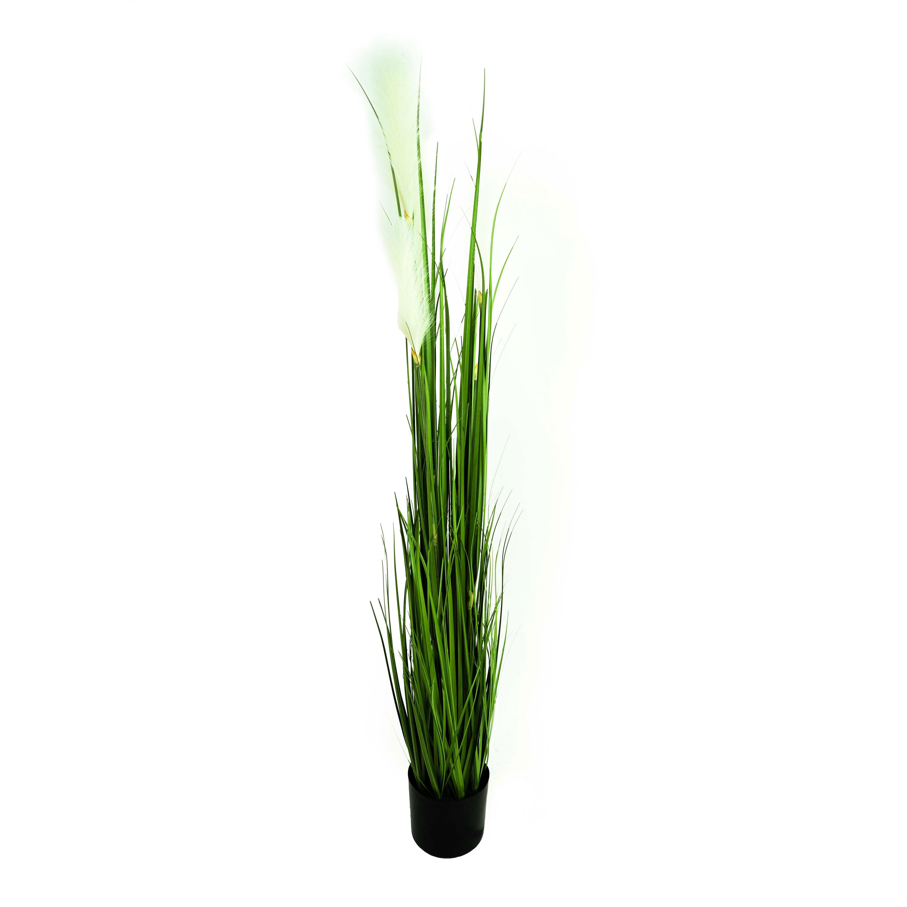 Buy Faux Plants | Faux Reed Grass With Pot - 5 Feet | Shop at Beruru